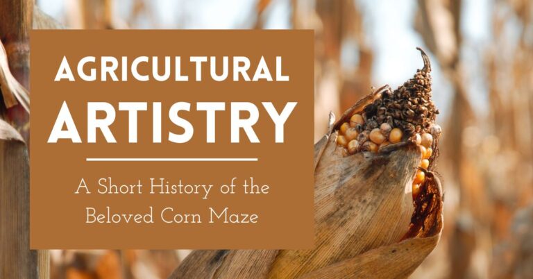Agricultural Artistry: A Short History of the Beloved Corn Maze ...