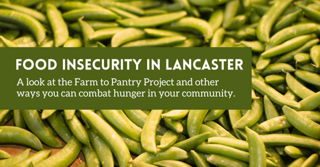 Food Insecurity in Lancaster: A look at the Farm to Pantry Project and ...