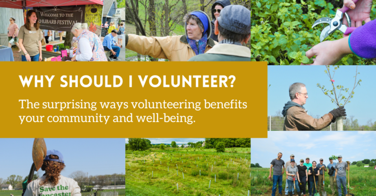 Why Should I Volunteer? The surprising ways volunteering benefits your ...