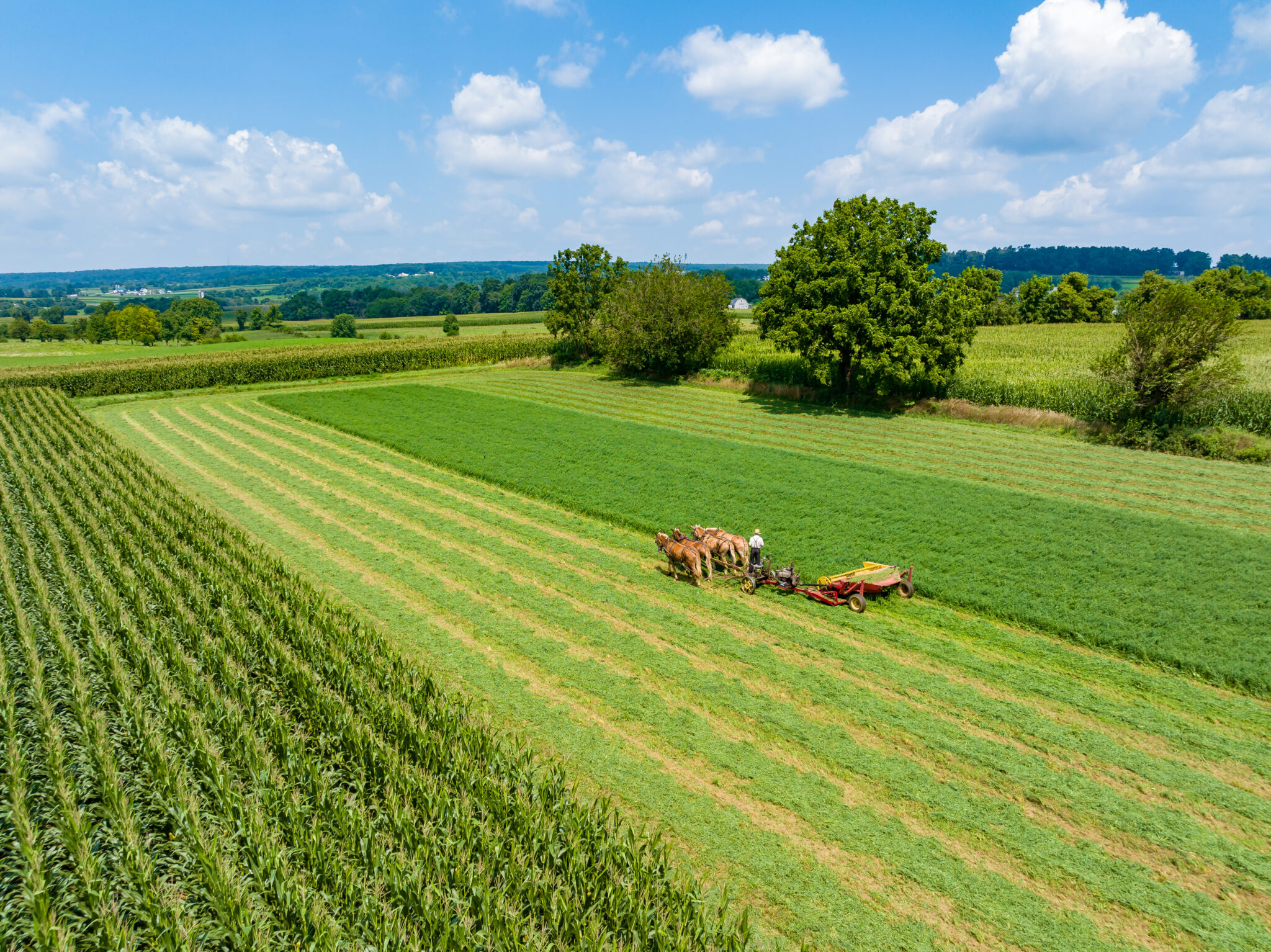 About - Lancaster Farmland Trust