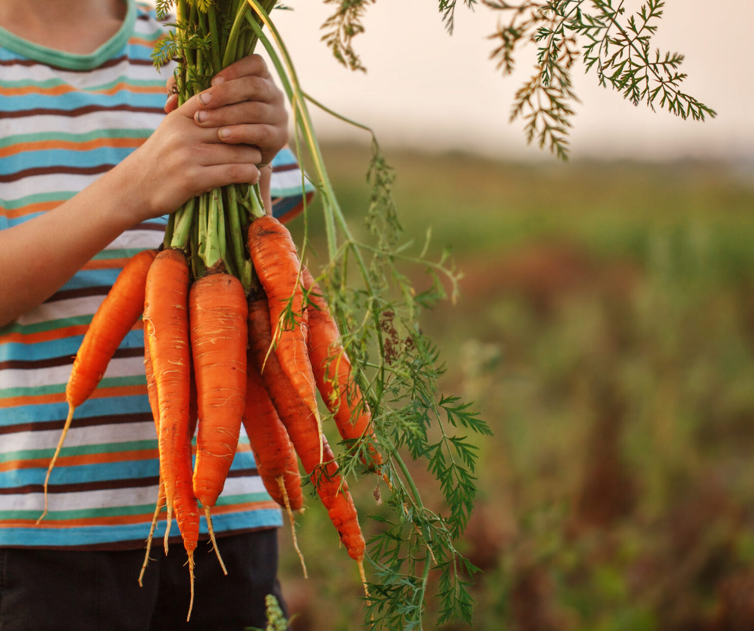 About - Lancaster Farmland Trust