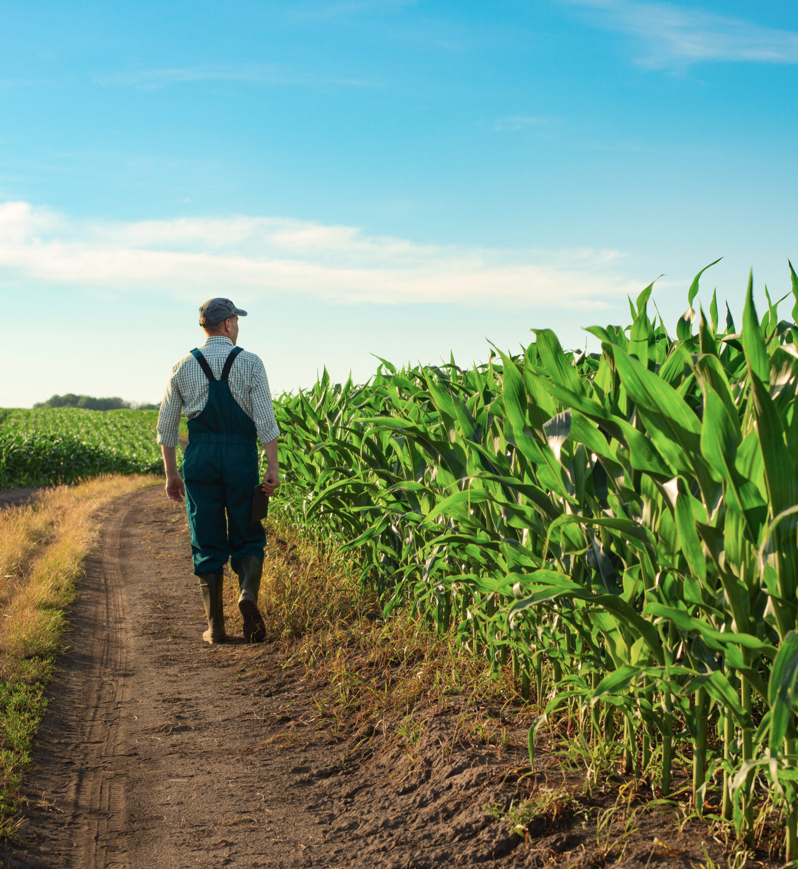 Financials - Lancaster Farmland Trust