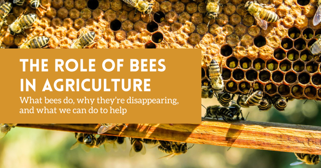 Bees & Agriculture: Why Are Bees are Disappearing? - Lancaster Farmland ...