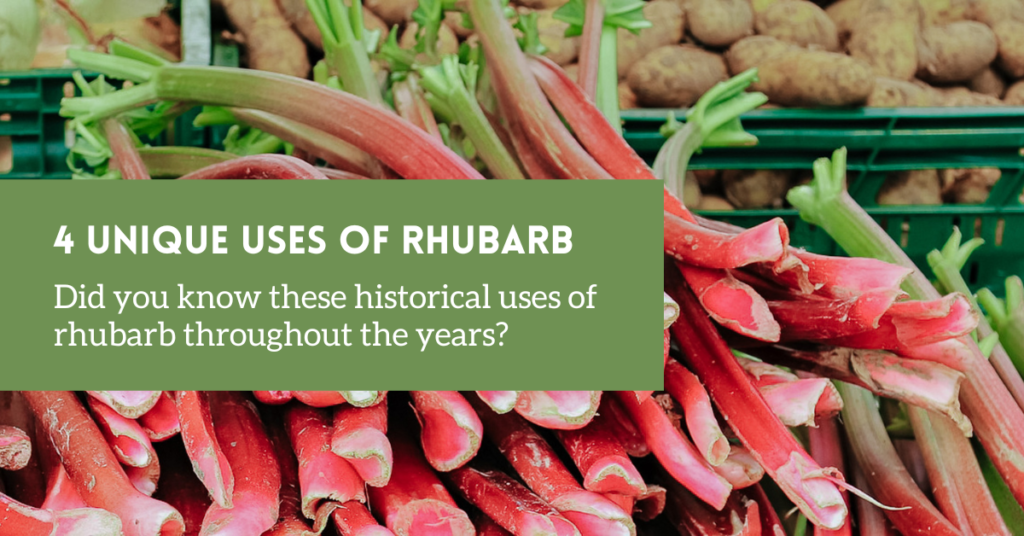4 Unique Uses of Rhubarb: Did you know these historical uses of rhubarb ...