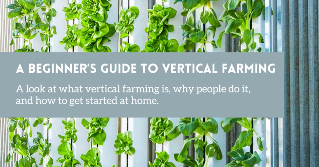 A Beginner's Guide to Vertical Farming - Lancaster Farmland Trust