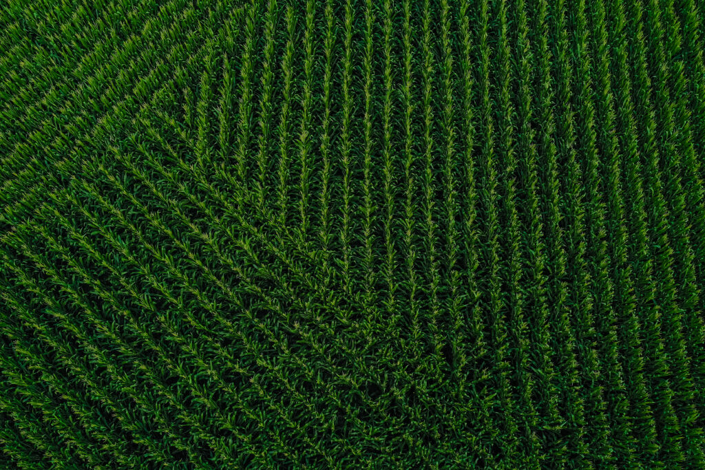 Join Our Team - Lancaster Farmland Trust